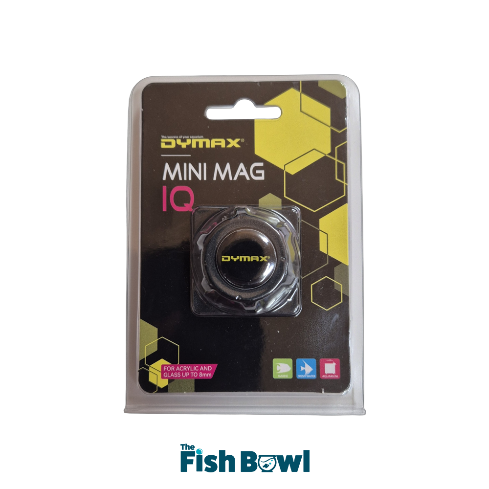 Dymax Mini Mag - IQ – The Fish Bowl