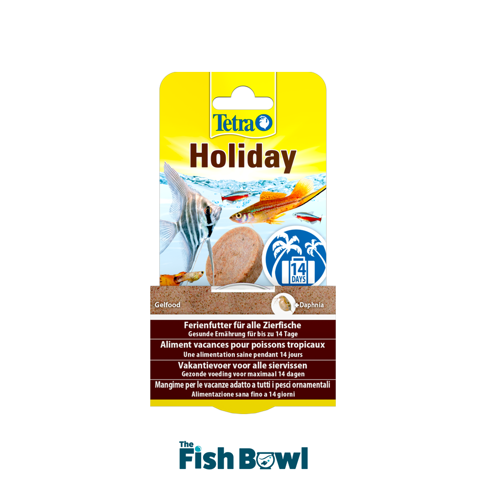 Tetra Holiday – The Fish Bowl